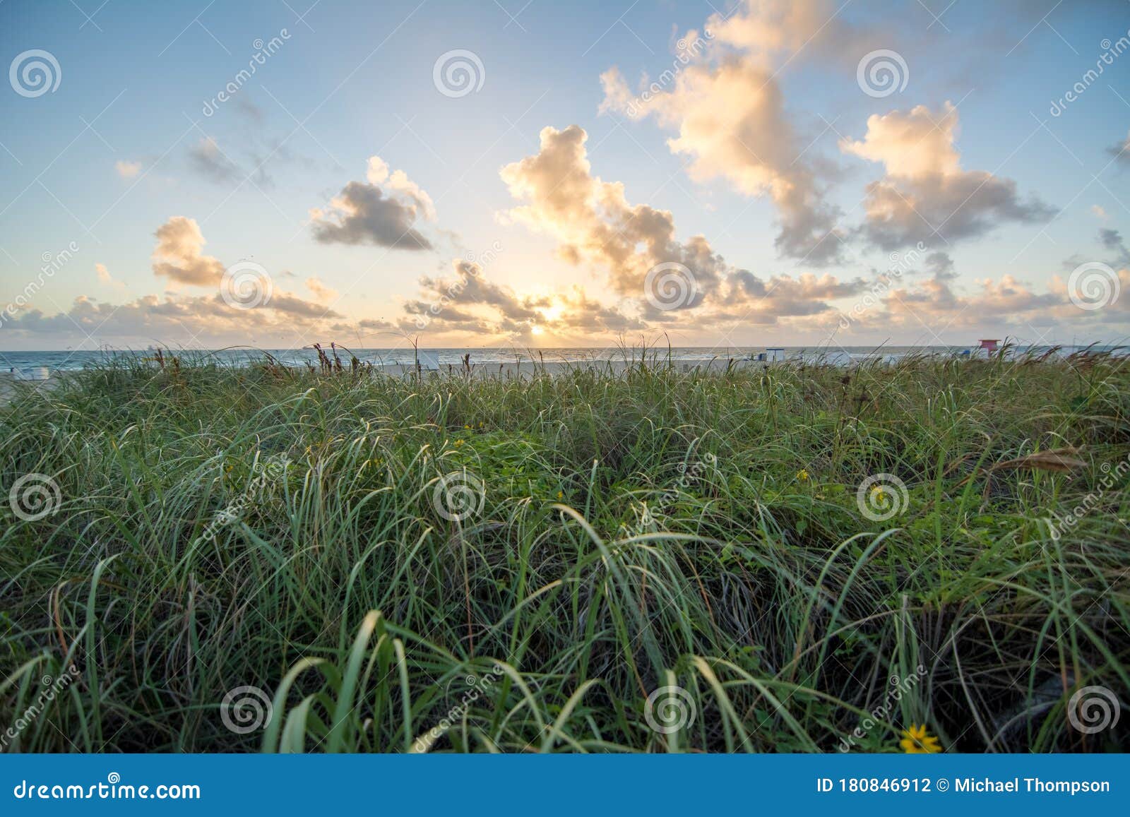 Grassy Beach Sunset and Ocean Stock Photo - Image of ocean, grassy ...