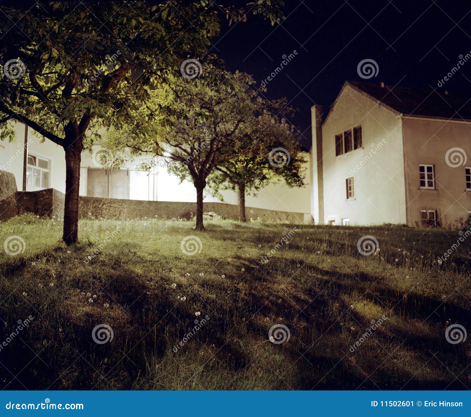 Grassy Courtyard at Night stock image. Image of rock - 11502601