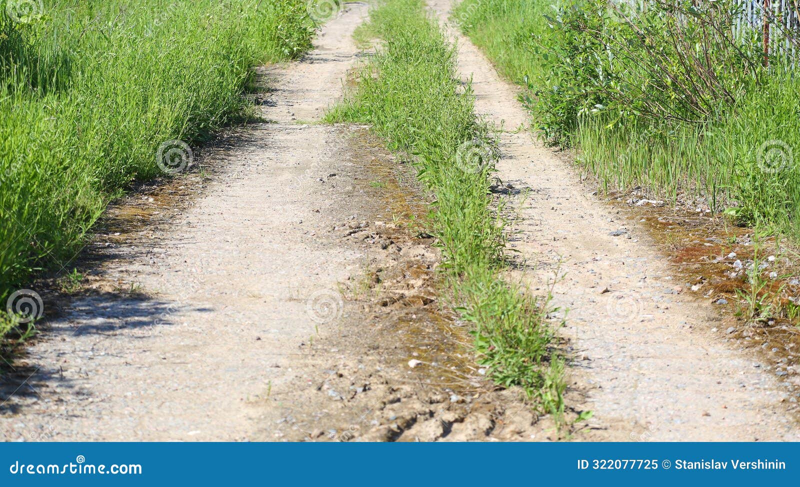 Grassy Dirt Road in the Countryside Stock Image - Image of russia, road ...