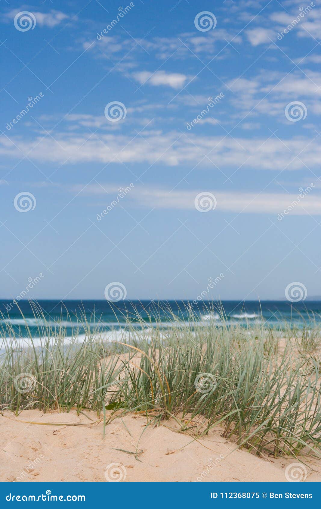 Grassy Dune at the Beach on a Sunny Summers Day Stock Image - Image of ...