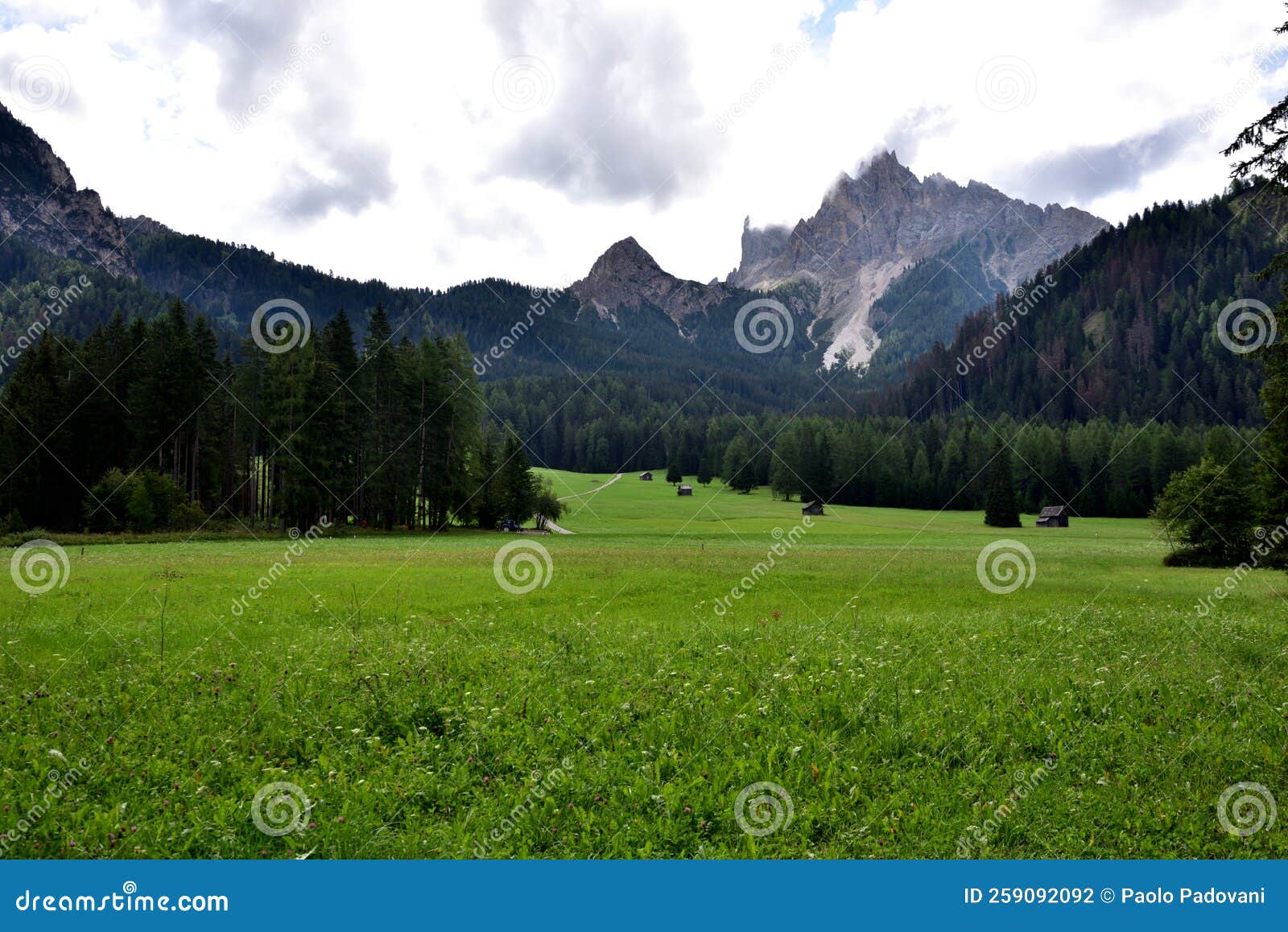 Grassy expanse stock photo. Image of meadow, shack, peak - 259092092