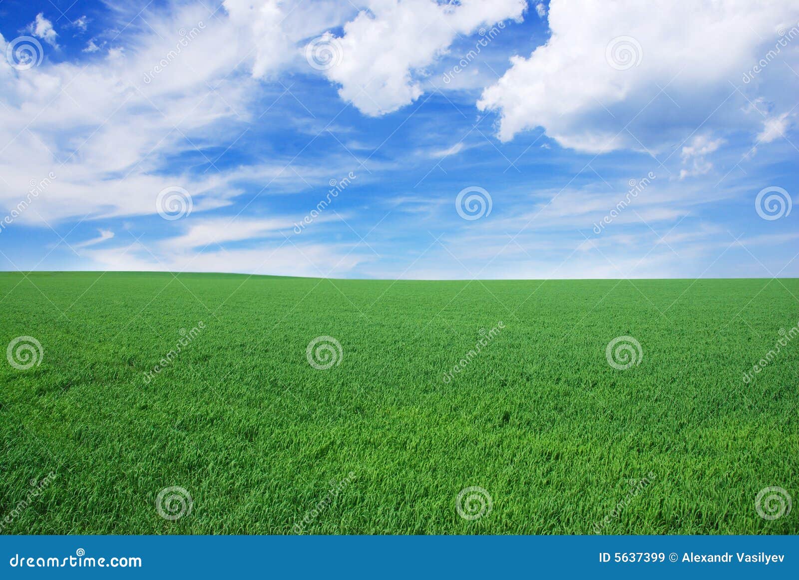 Grassy field stock image. Image of nature, pasture, space - 5637399
