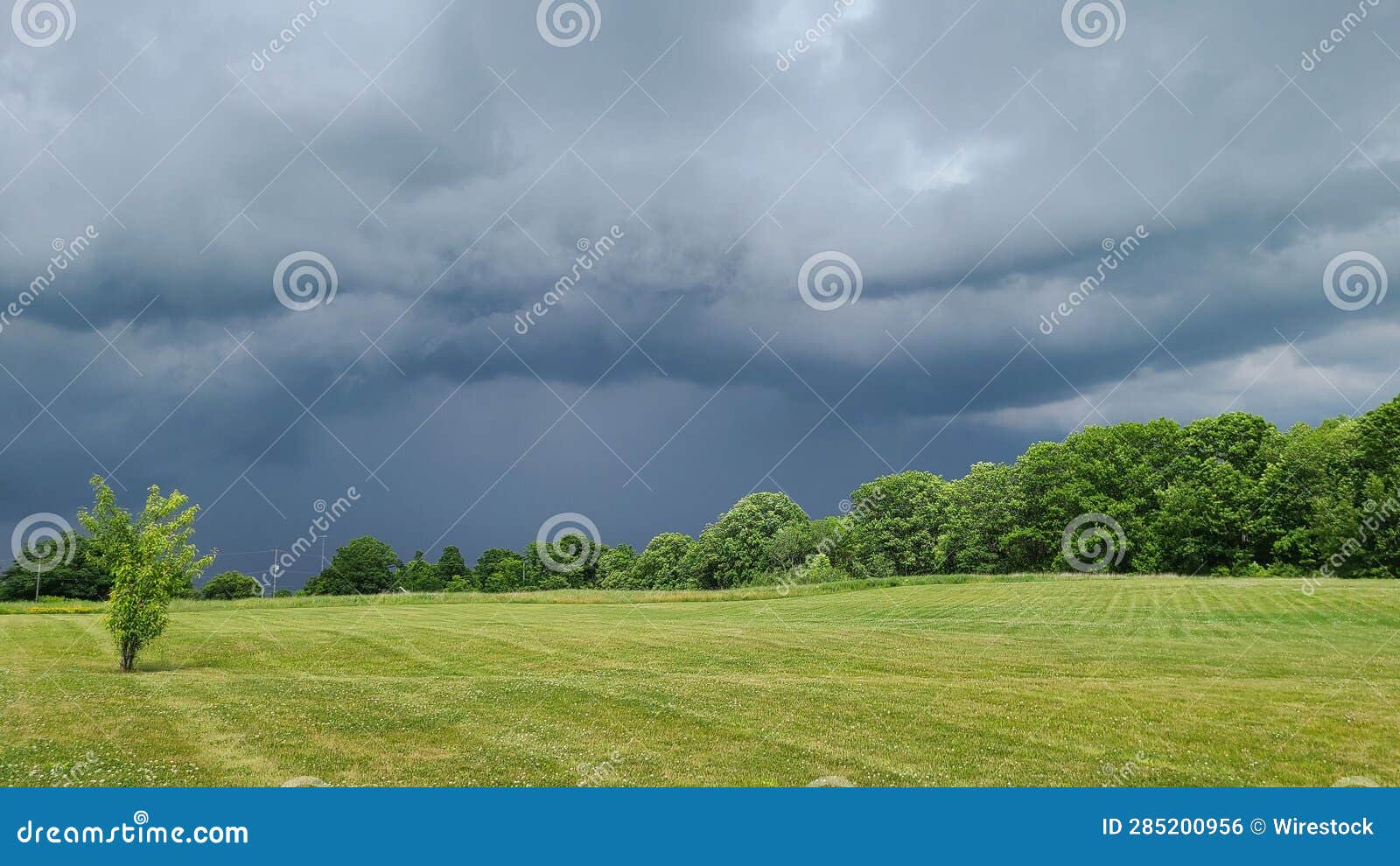 Grassy Field Blanketed in Clouds with Rain Falling from the Sky. Stock ...
