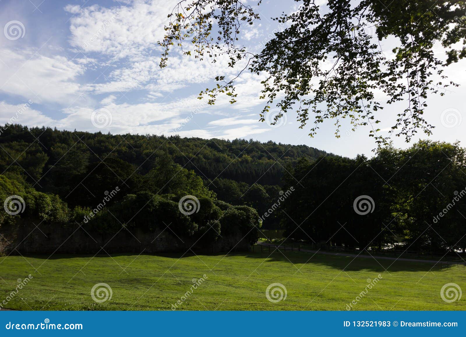 Grassy Field and Forest in United Kingdom Stock Image - Image of cloud ...