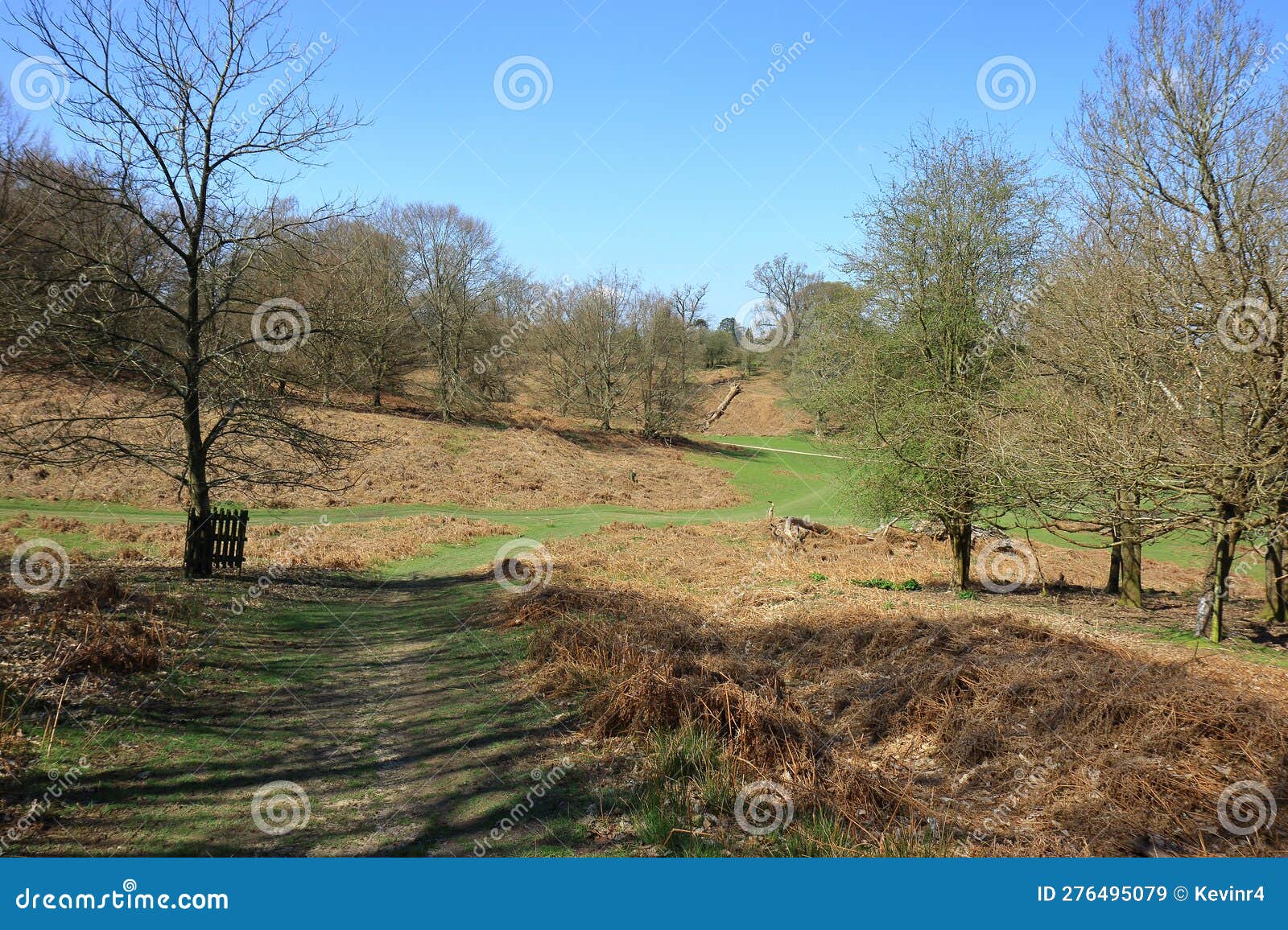 Grassy Footpath Running through the Sevenoaks Countryside Stock Image ...