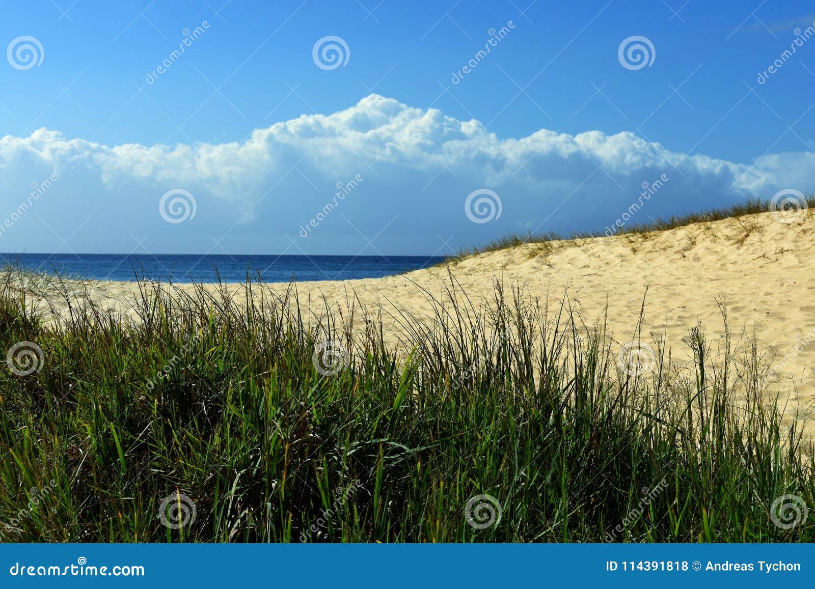 Grass Foreground Beach Scene Stock Photo - Image of tropical, summer ...