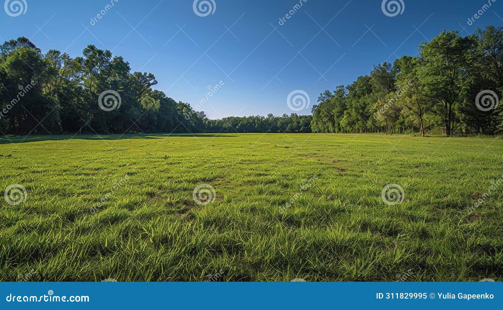 Grassy Hill with Trees stock image. Image of growth - 311829995