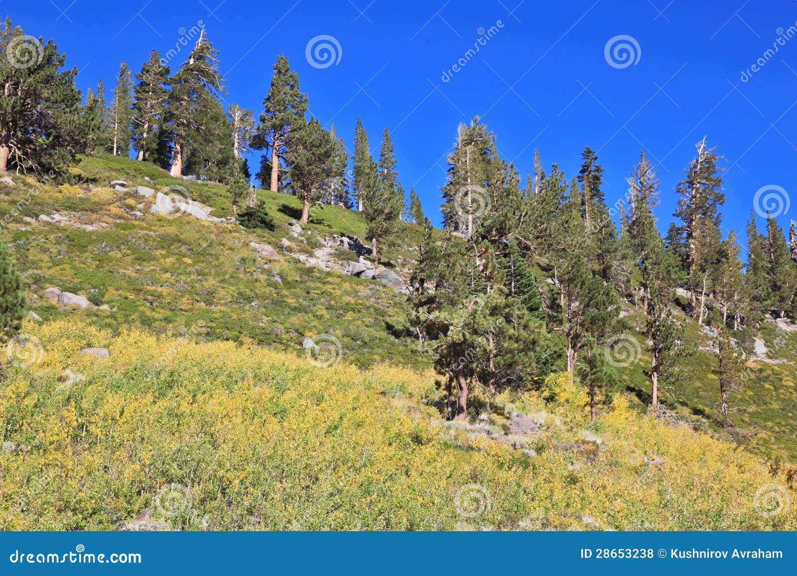 Grassy hillside stock photo. Image of outdoors, hillside - 28653238