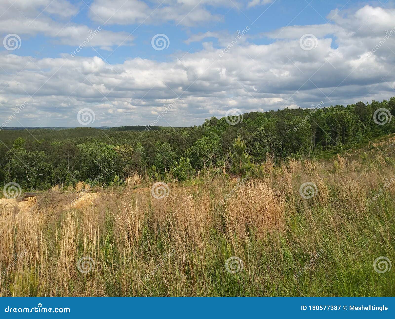 Grassy hillside landscape stock image. Image of steppe - 180577387