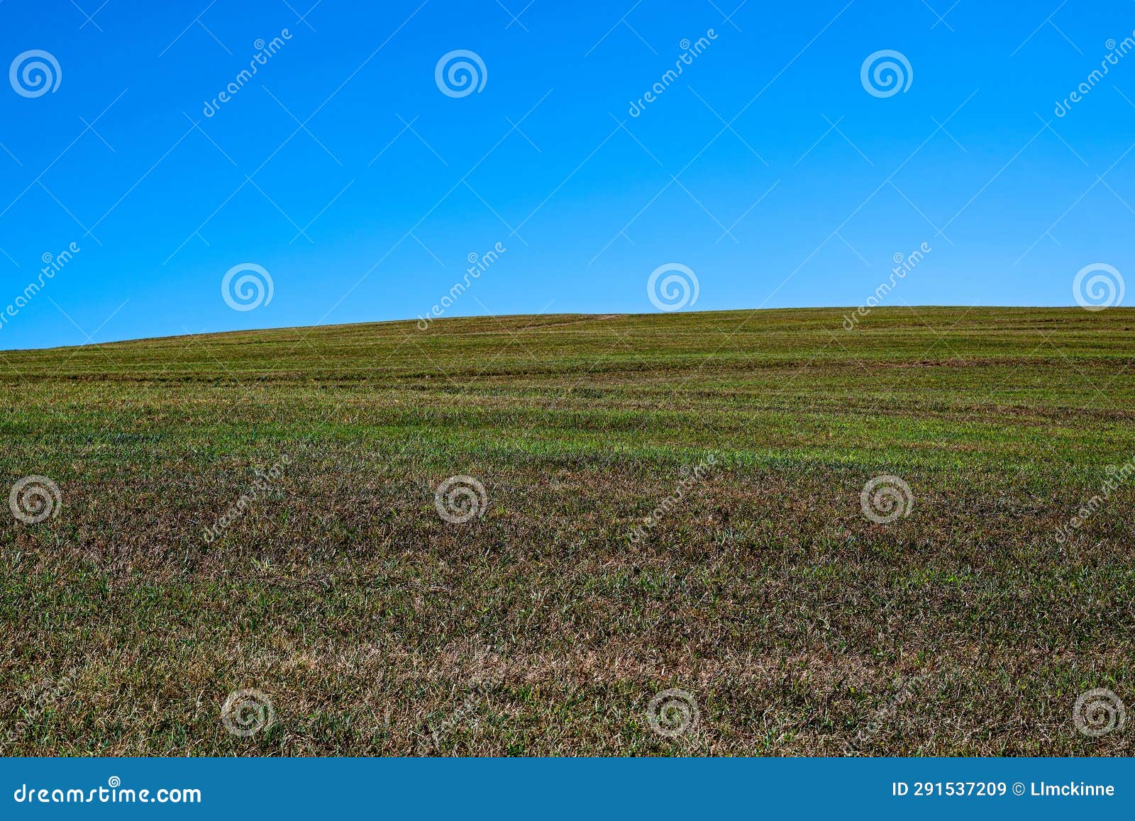 Grassy Knoll on a Bright Cloudless Day with Bright Blue Sky. Stock ...