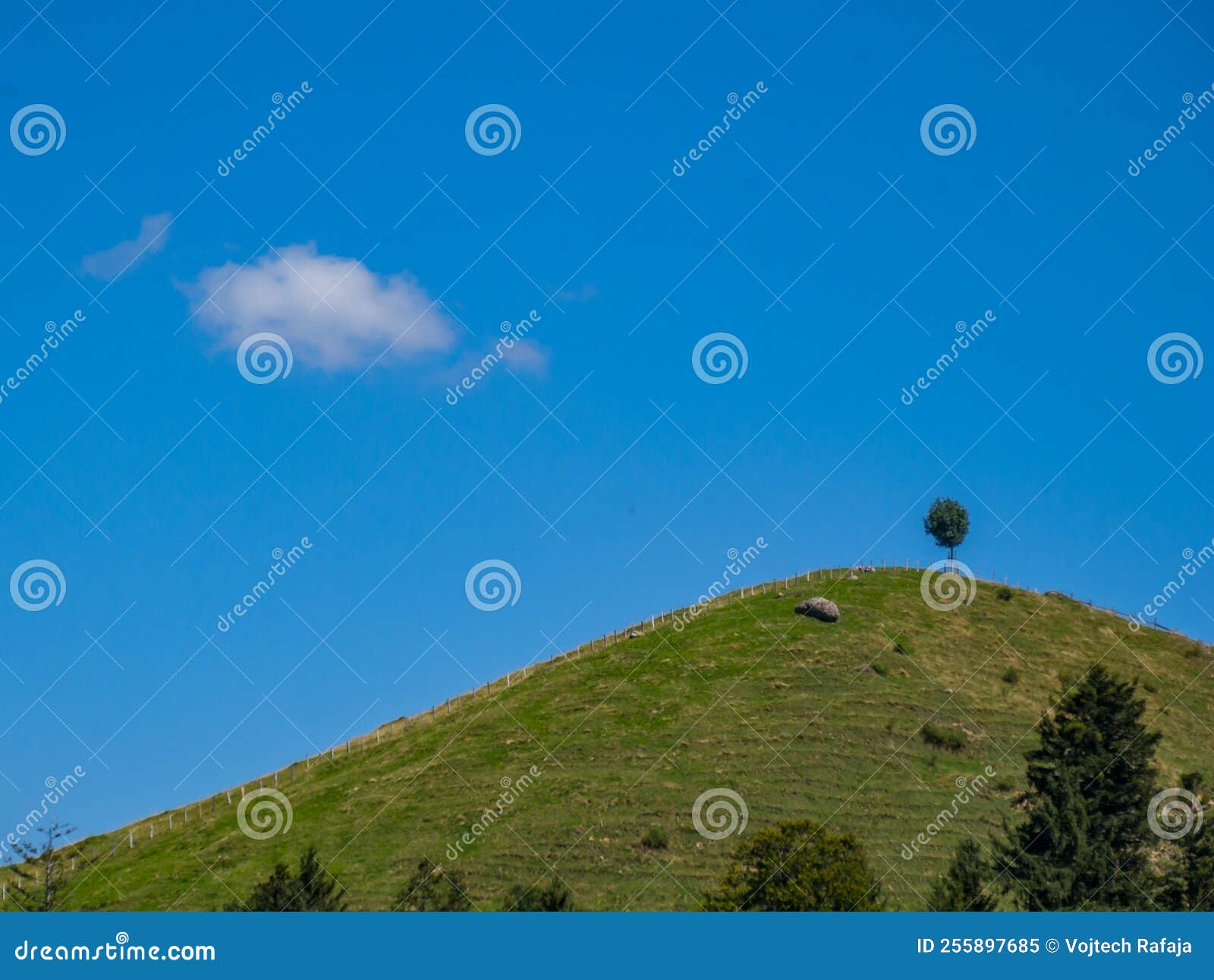 A Grassy Knoll with One Small Tree and One Cloud in the Sky Stock Image ...