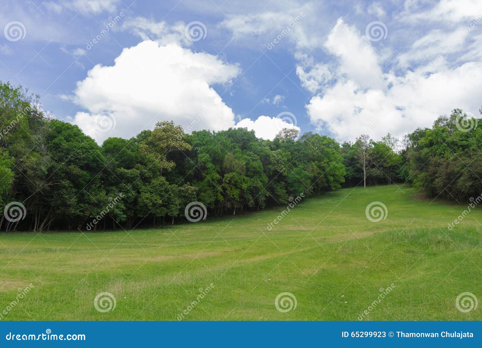 The grassy knoll stock image. Image of shadow, lawn, stone - 65299923