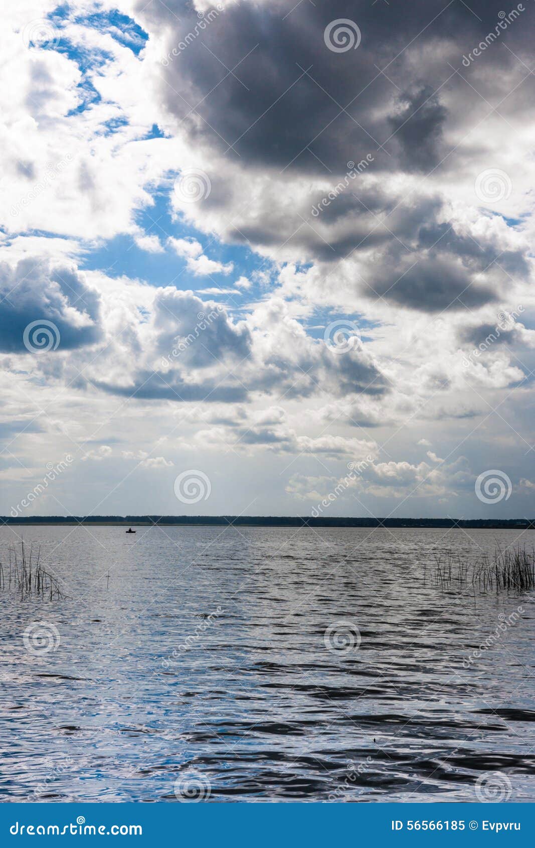 Grassy lake stock image. Image of clouds, landscapes - 56566185