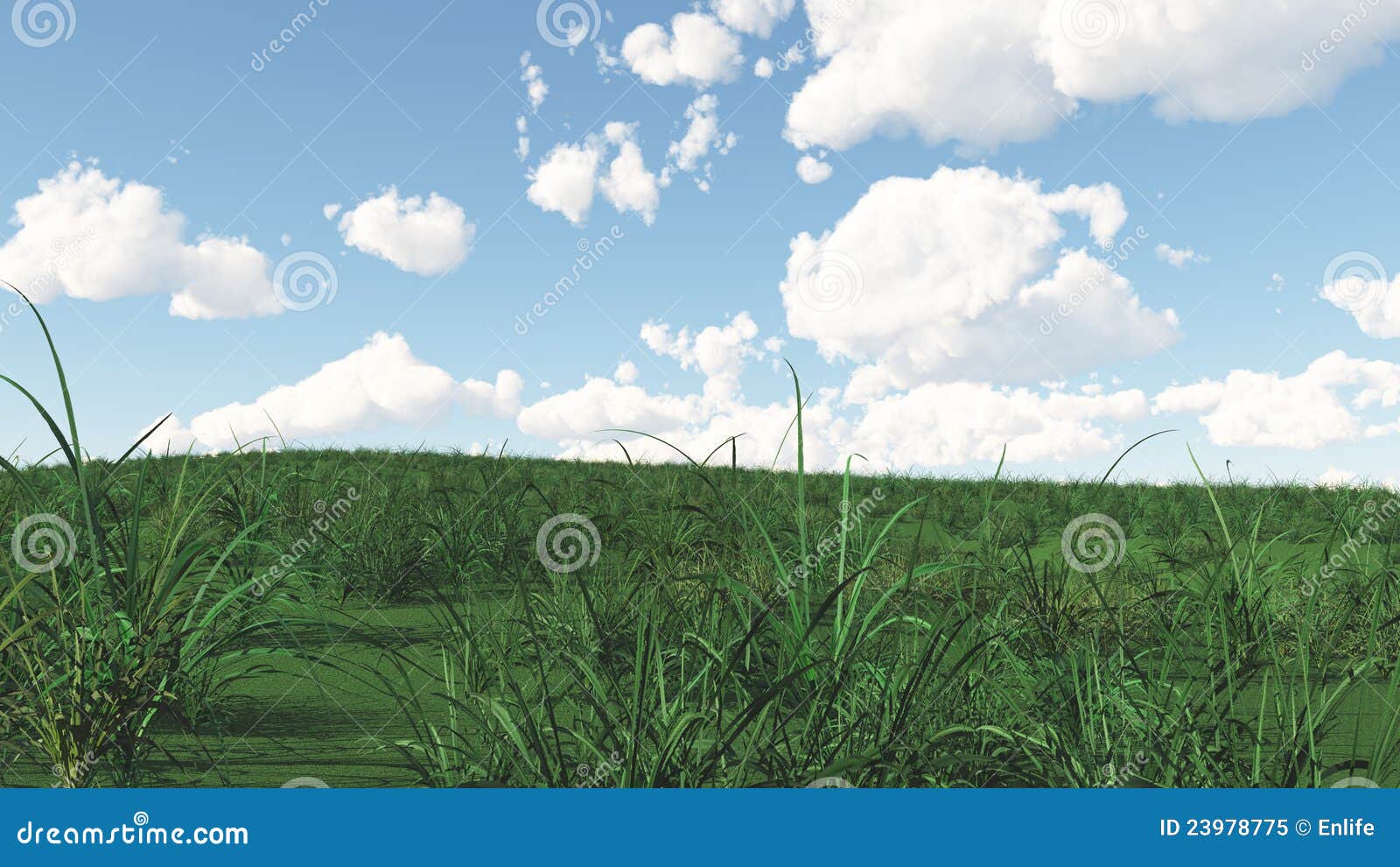 Grassy landscape stock image. Image of grass, green, spring - 23978775