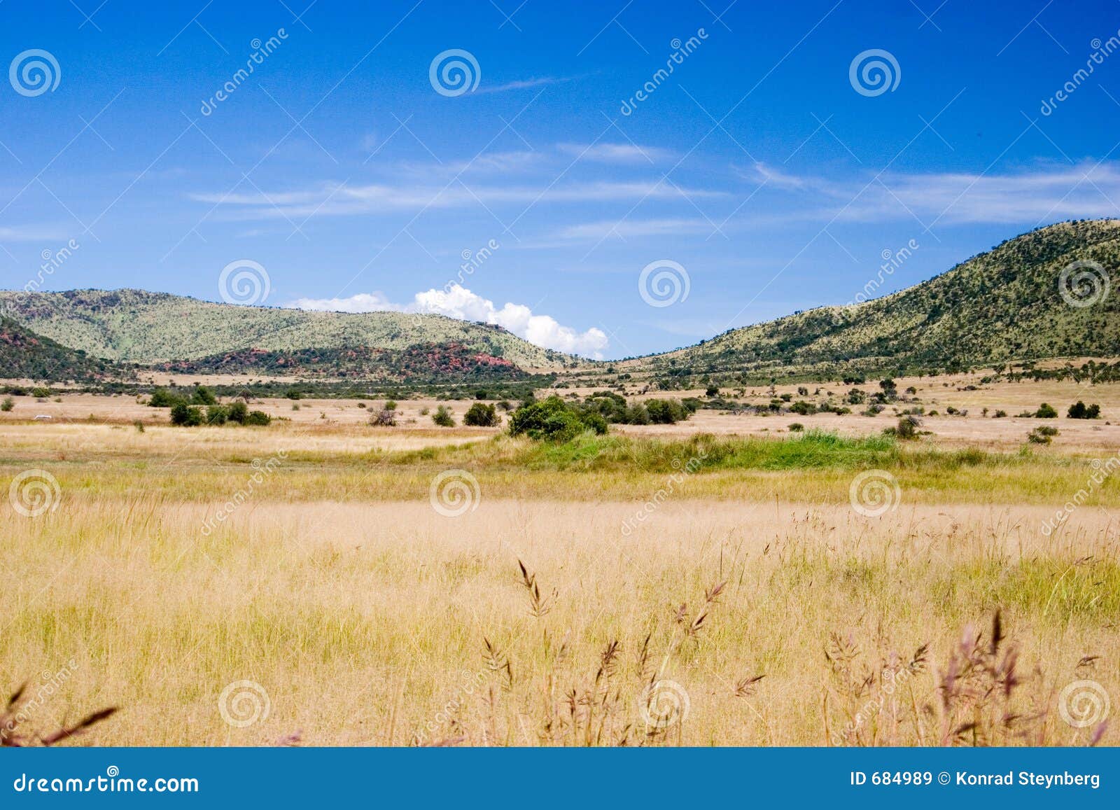 Grassy landscape stock image. Image of dark, flowers, nature - 684989