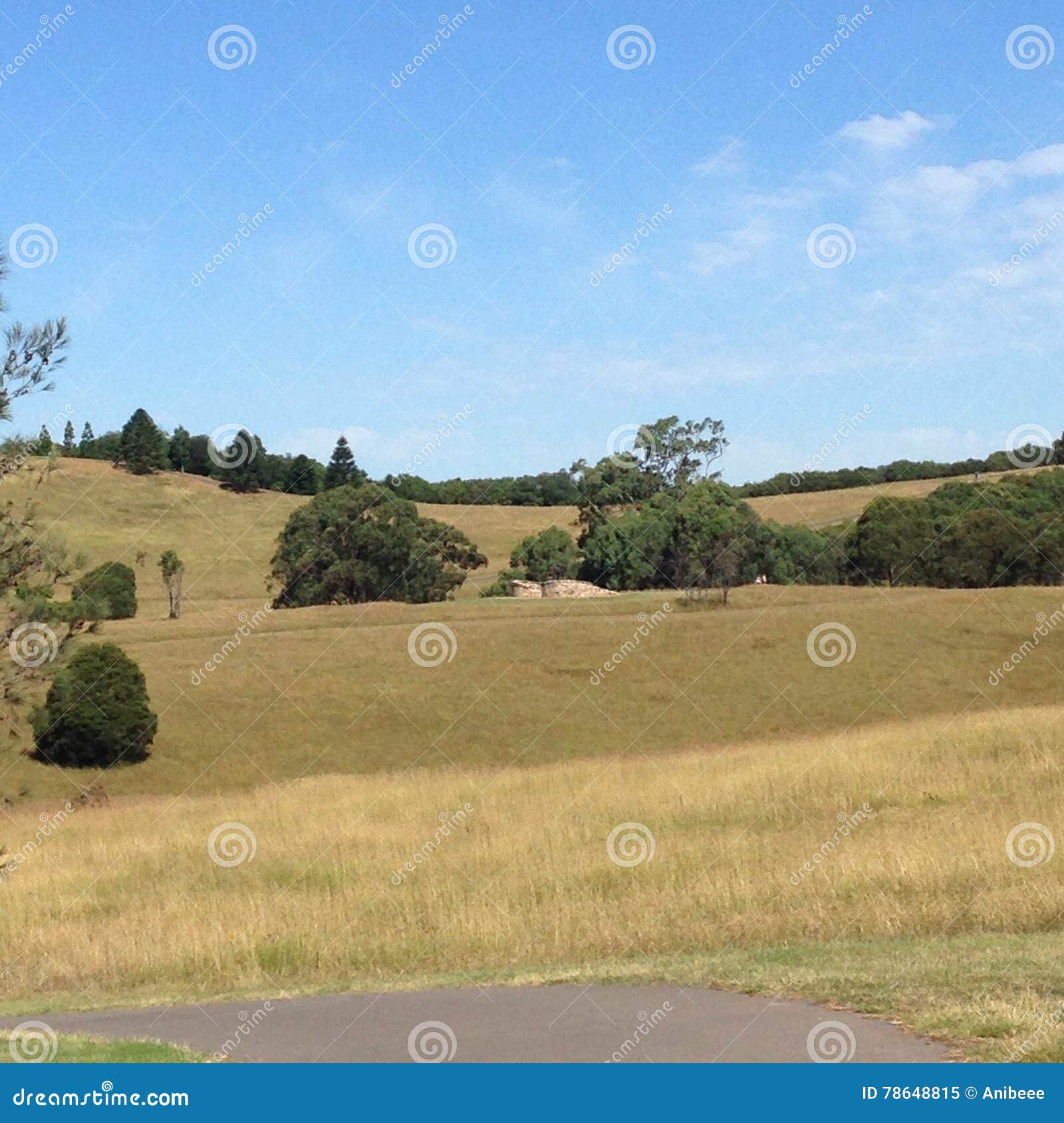 Grassy landscape stock image. Image of field, view, hills - 78648815