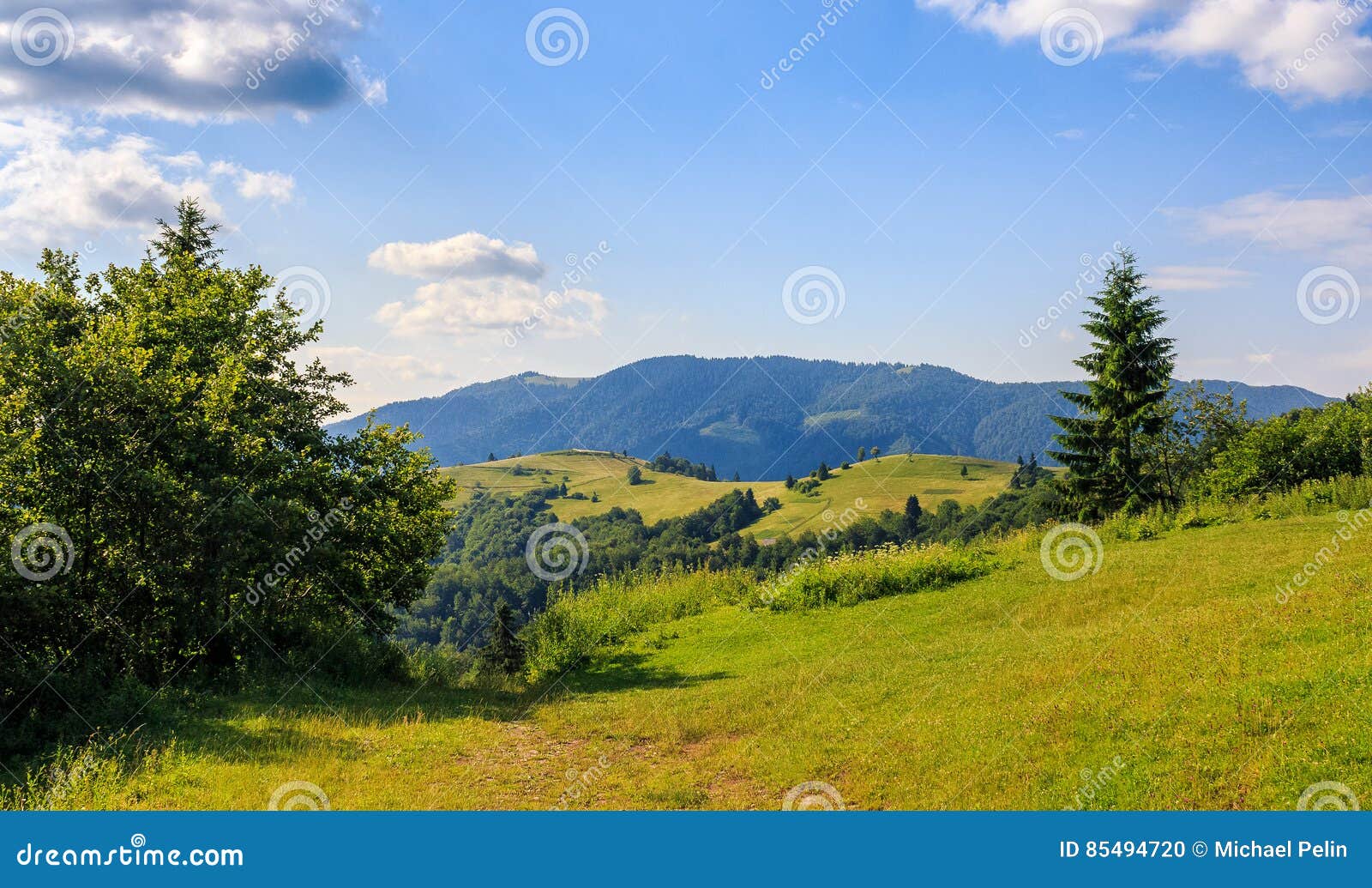 Grassy meadow on hillside stock photo. Image of outdoor - 85494720