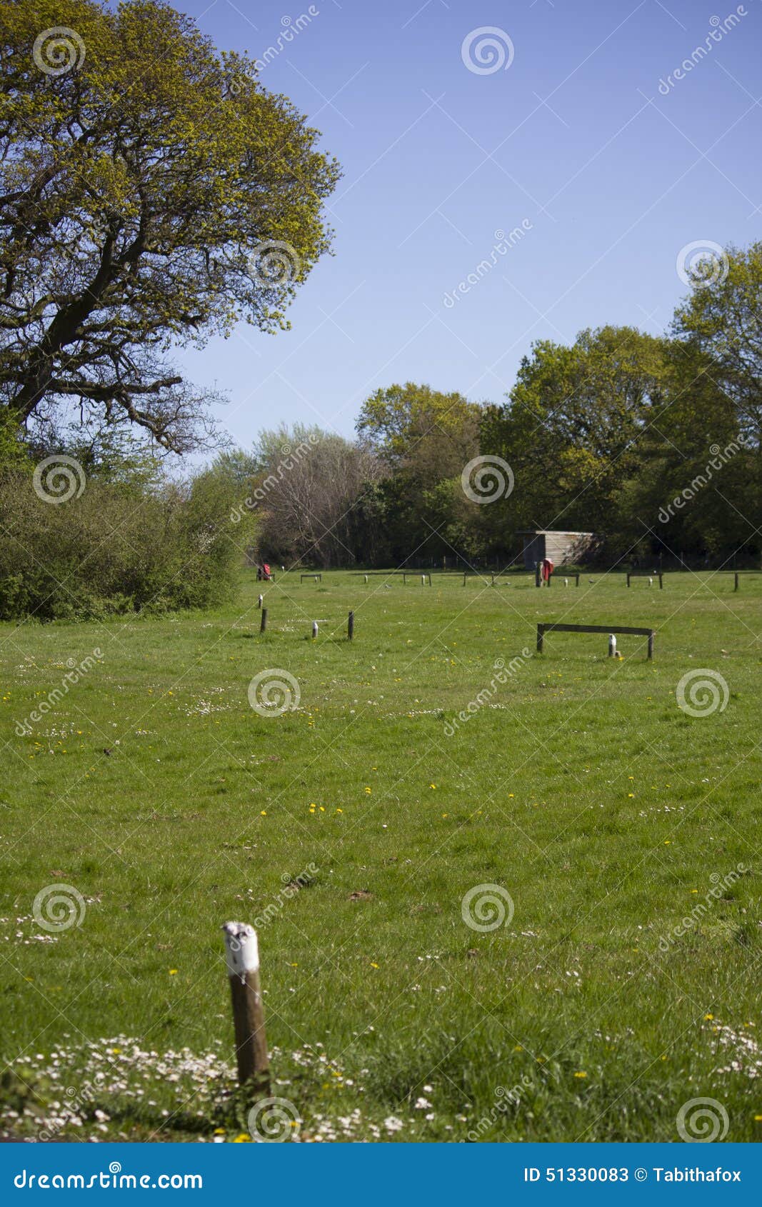 Grassy outside open space stock image. Image of peaceful - 51330083