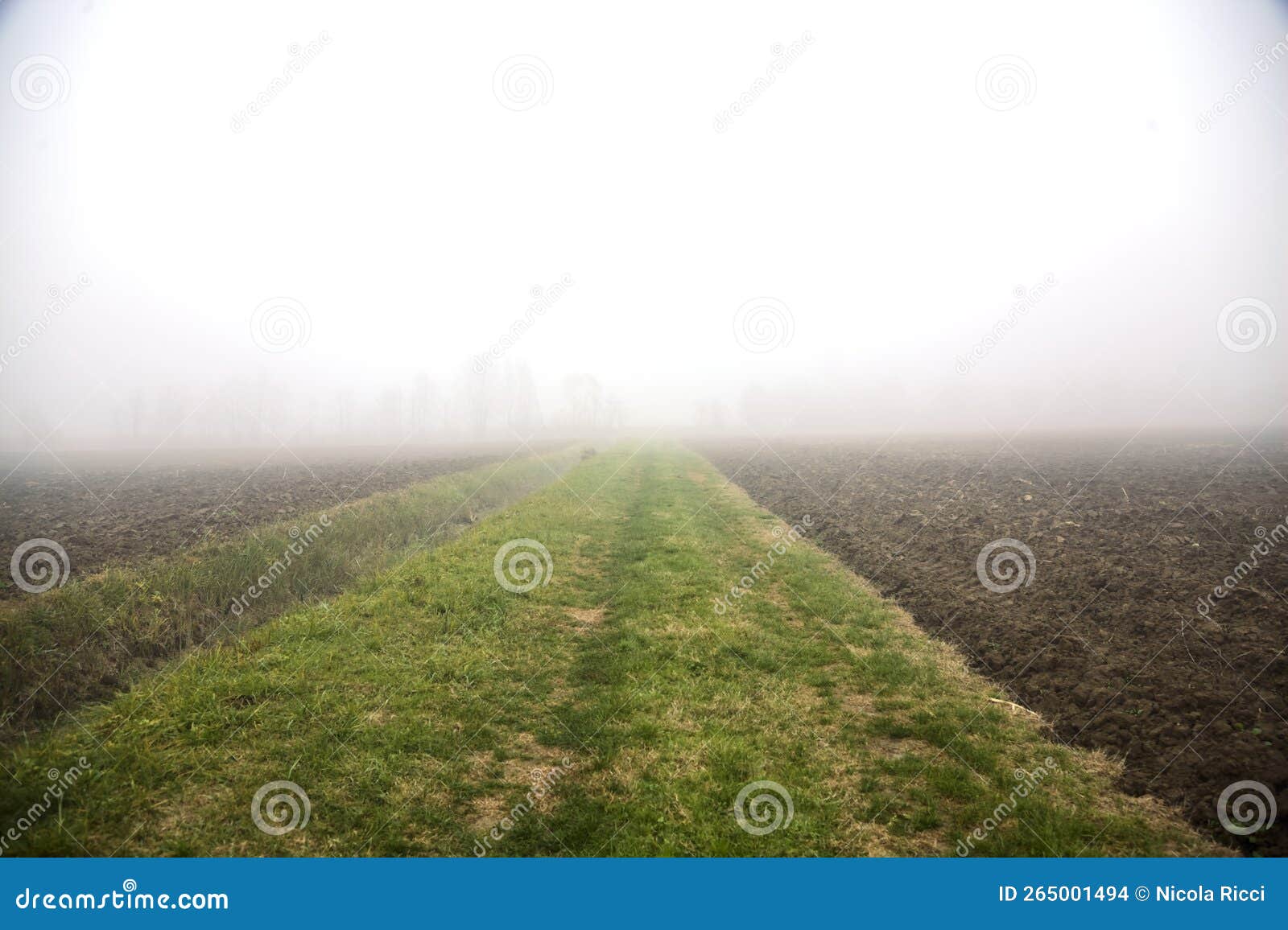 Grassy Path between Fields on a Foggy Day in Winter Stock Photo - Image ...