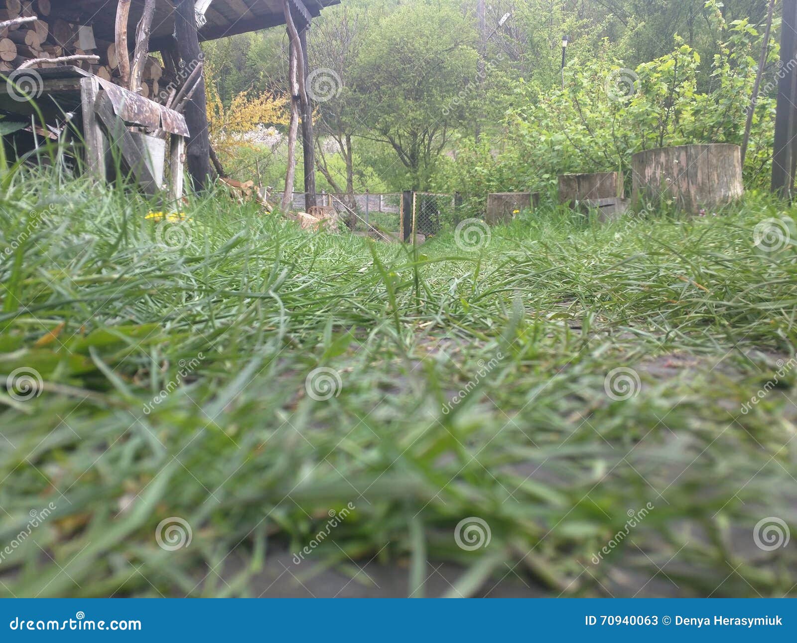 Grassy path stock image. Image of path, green, grassy - 70940063