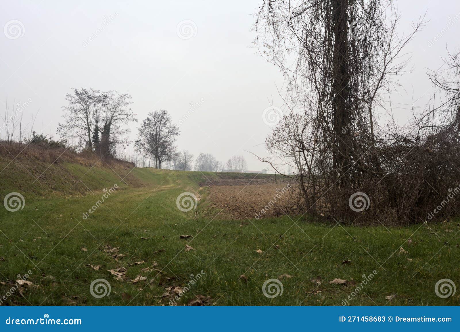 Grassy Path in a Grove that Borders an Embankment on a Cloudy Day in ...