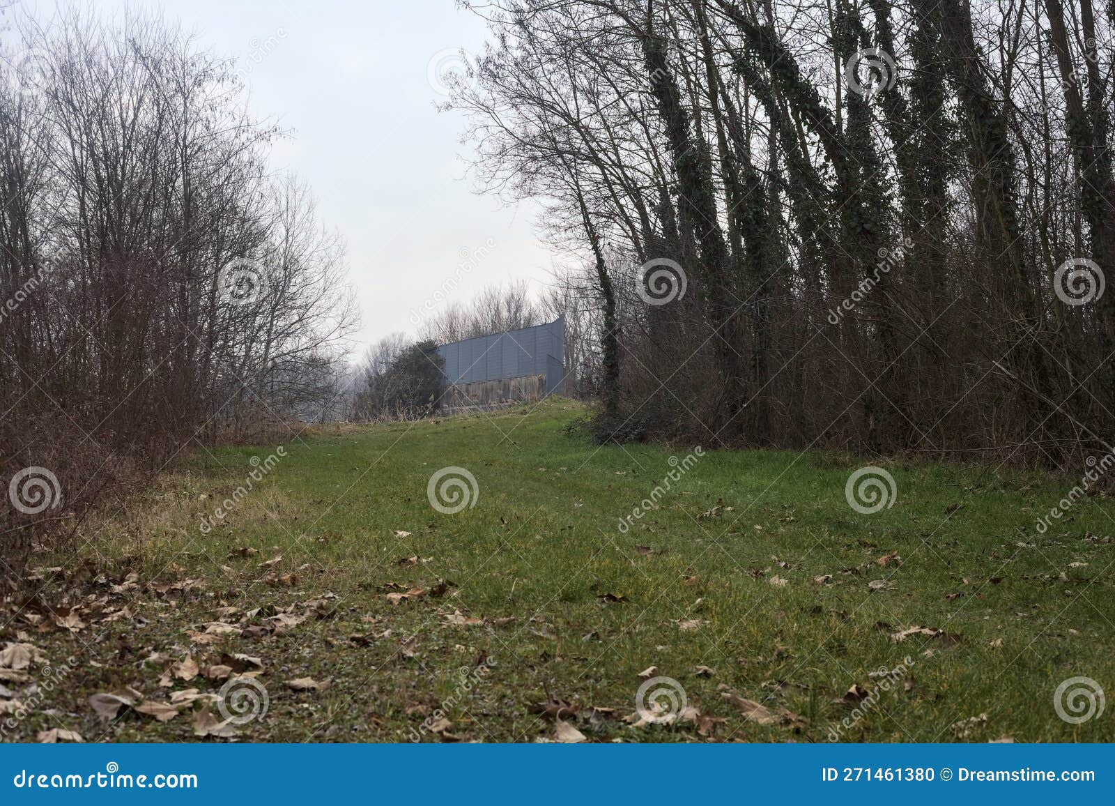Grassy Path in a Grove that Borders an Embankment on a Cloudy Day in ...