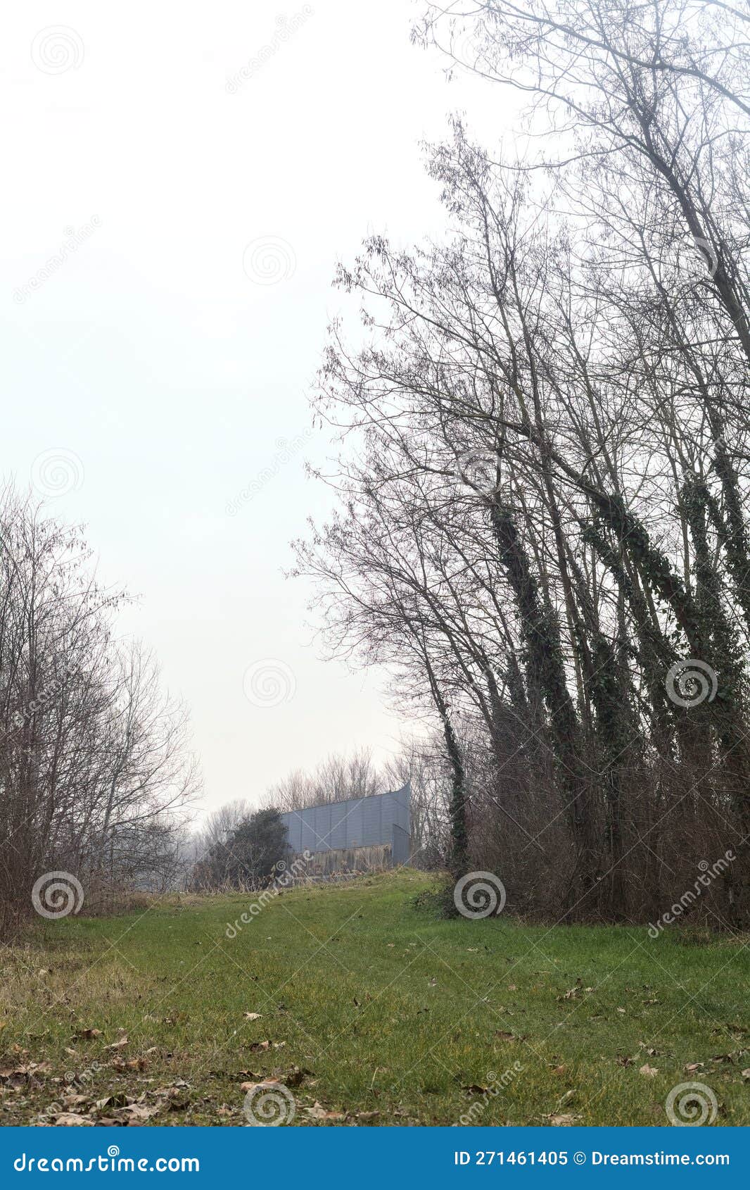 Grassy Path in a Grove that Borders an Embankment on a Cloudy Day in ...