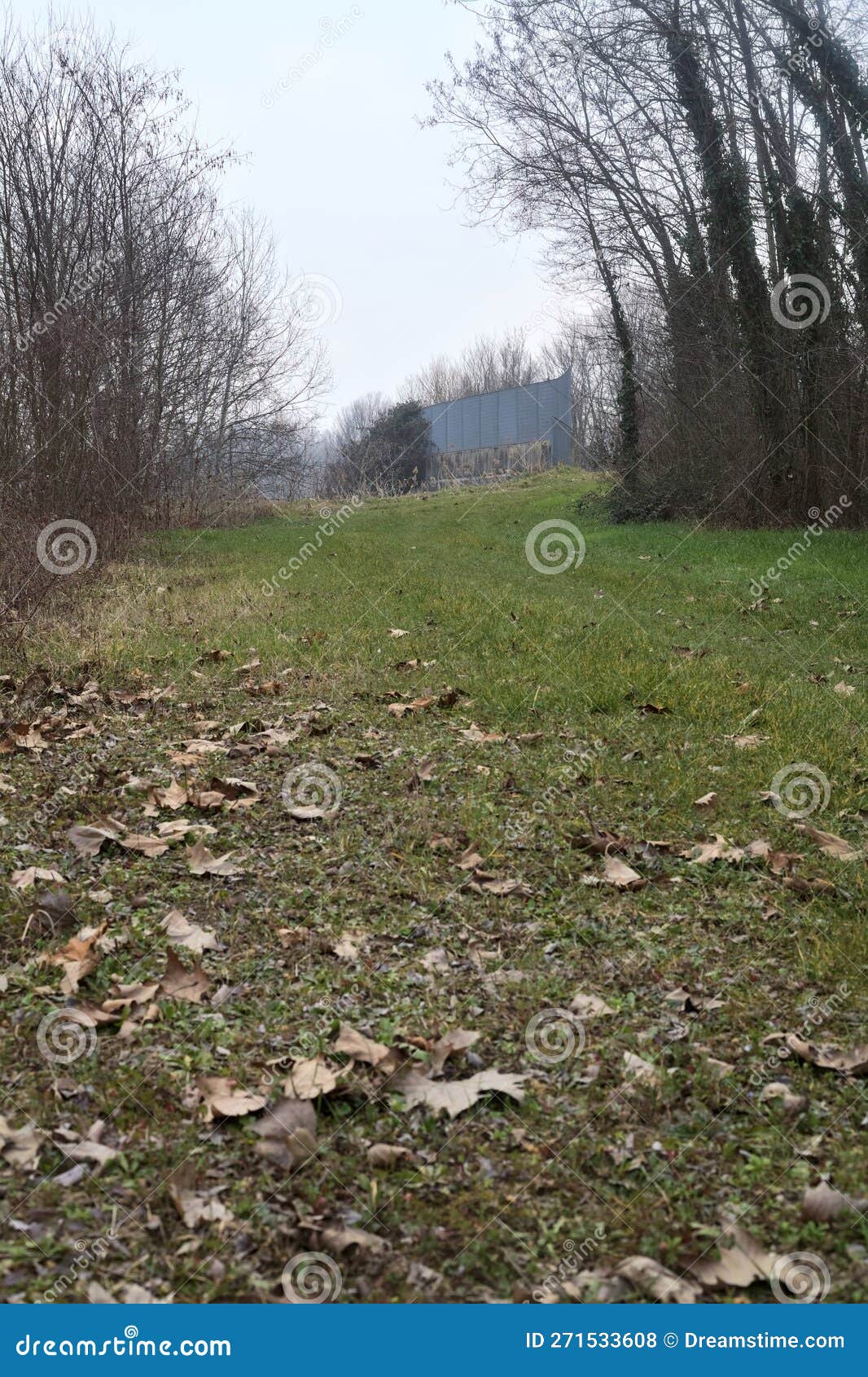 Grassy Path in a Grove that Borders an Embankment on a Cloudy Day in ...