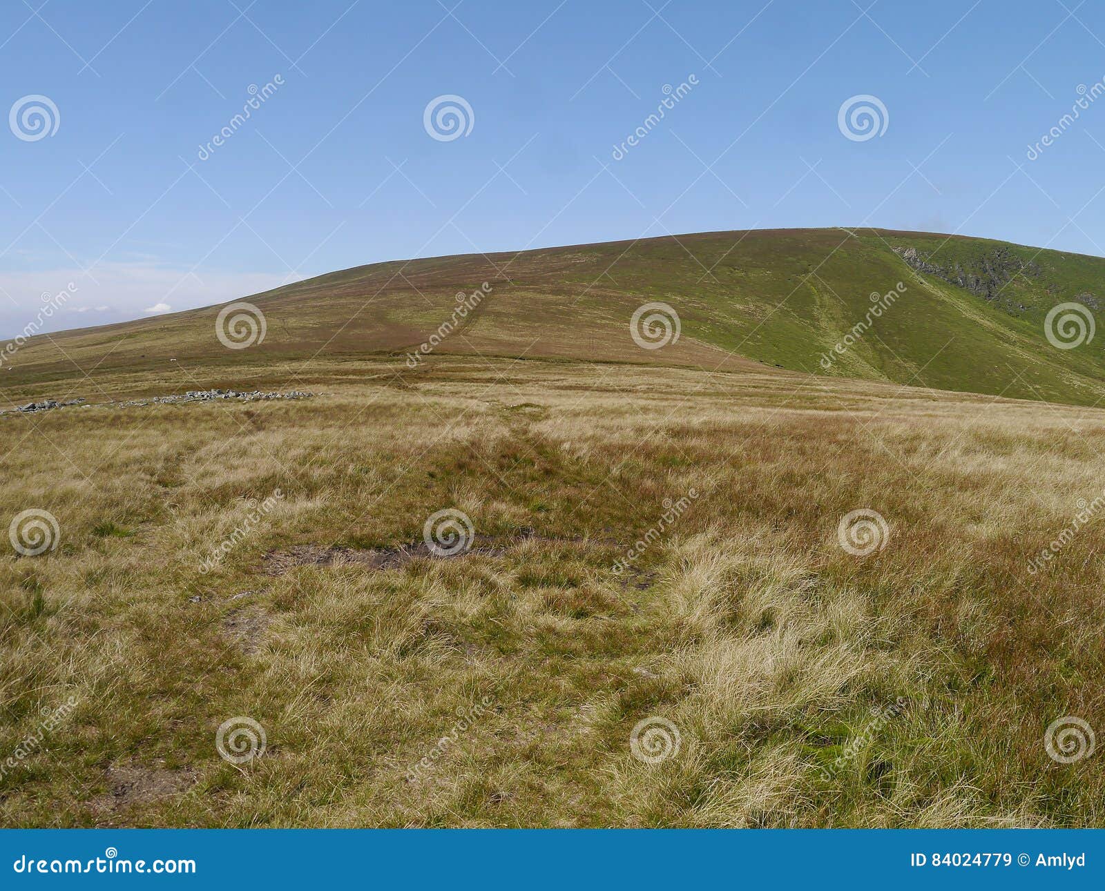 Grassy Path Up To Stybarrow Dodd, Lake District Stock Image - Image of ...