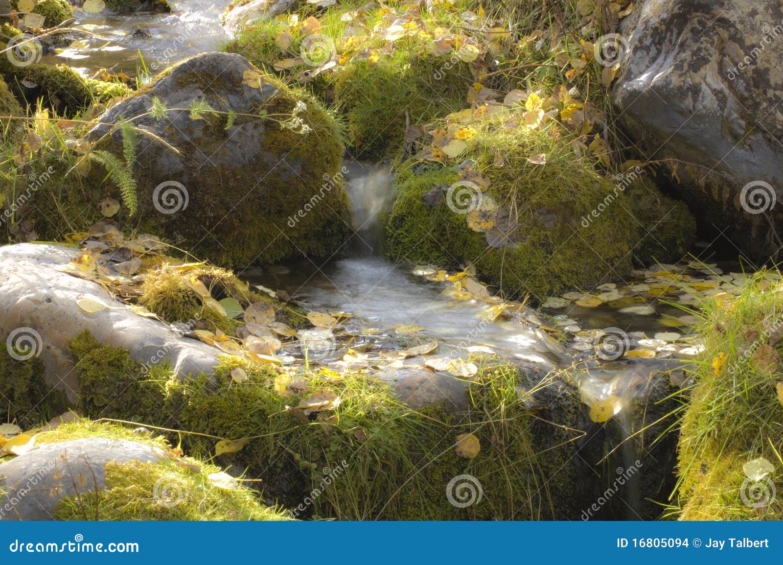 Grassy pool stock photo. Image of eddy, stream, pool - 16805094