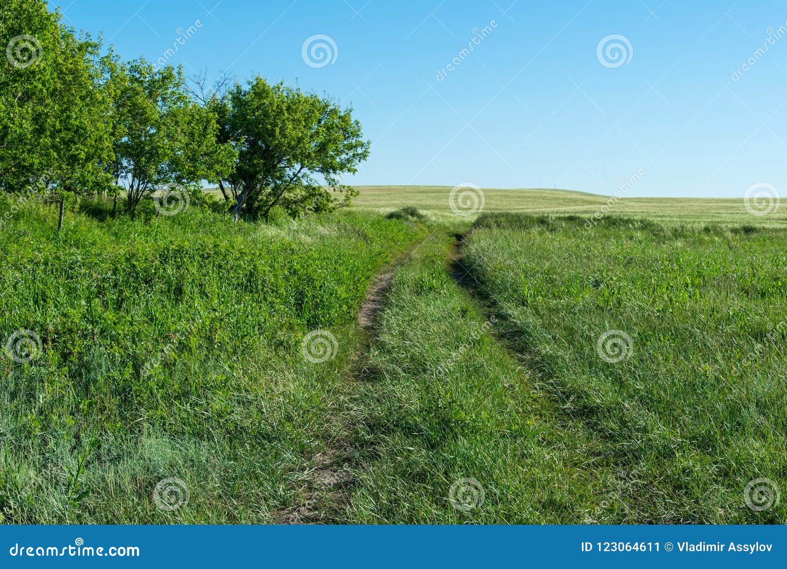 A grassy road stock image. Image of track, green, lawn - 123064611
