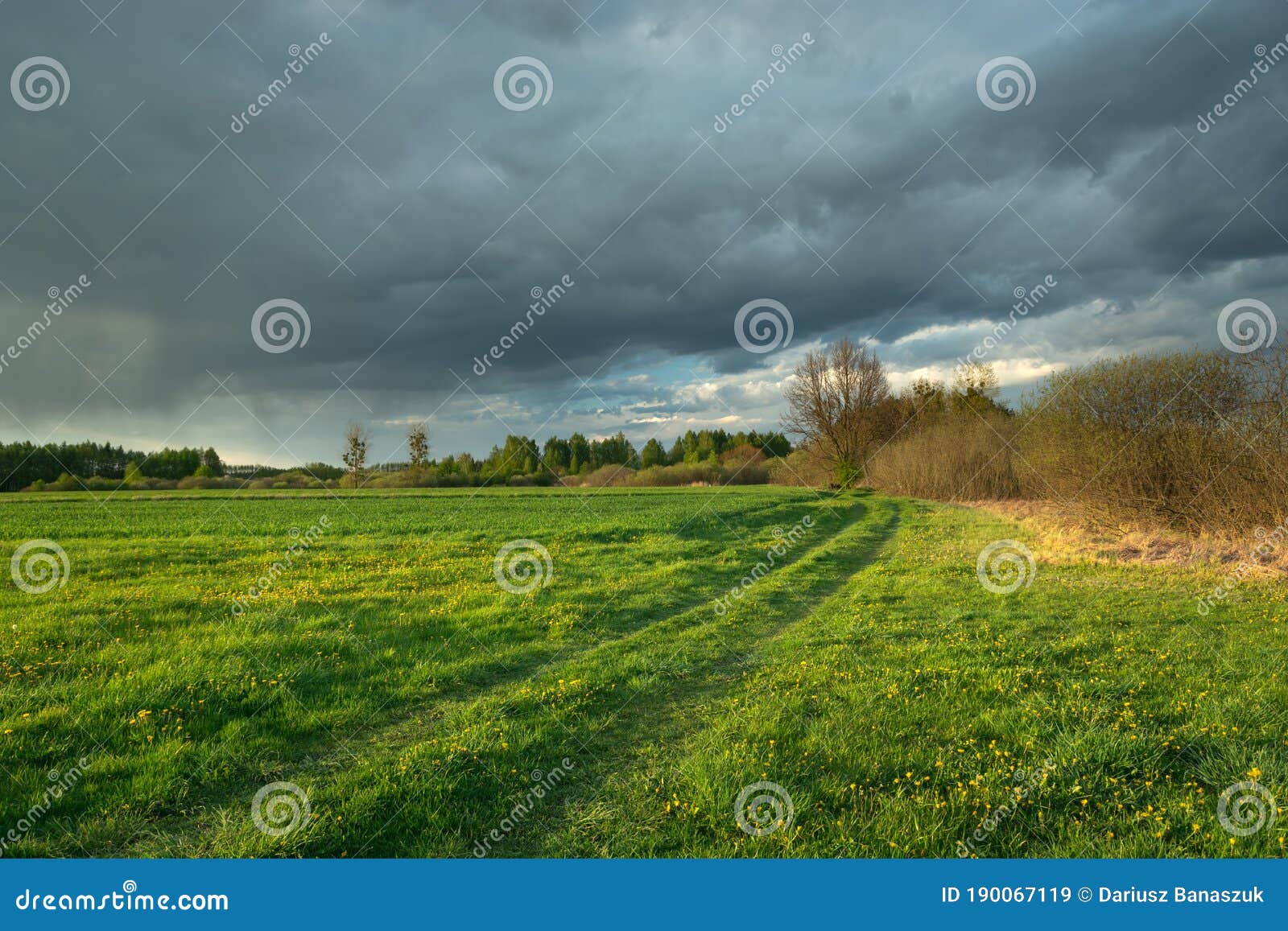 Grassy Road through the Meadow and Rainy Cloud, View on a Sunny Spring ...