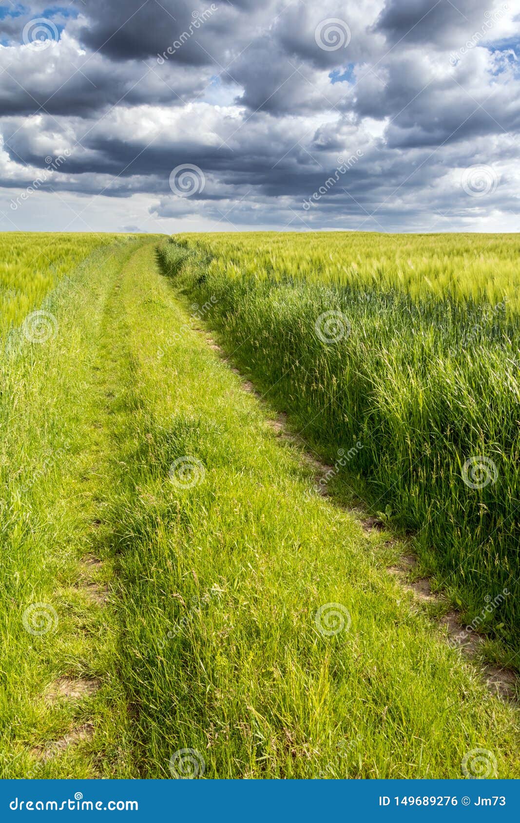 Grassy Road through Spring Fields Under Cloudy Sky Stock Photo - Image ...