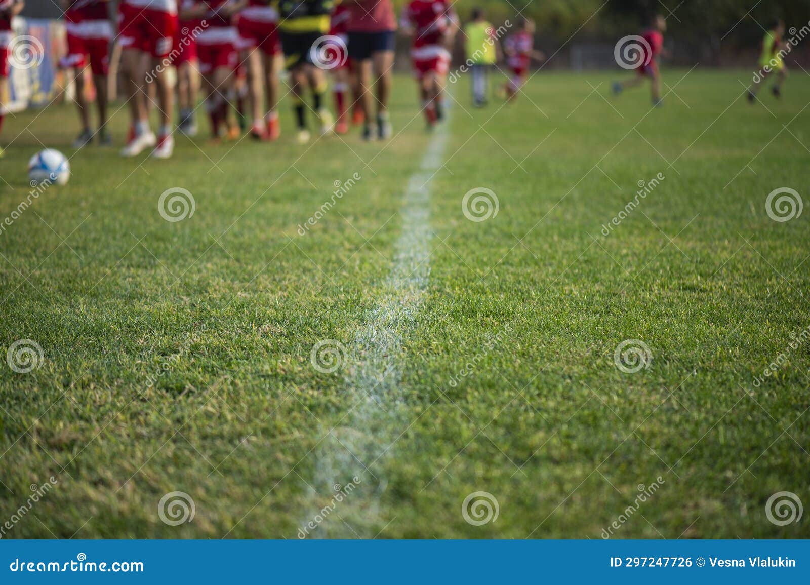 A grassy soccer field stock photo. Image of pursuit - 297247726