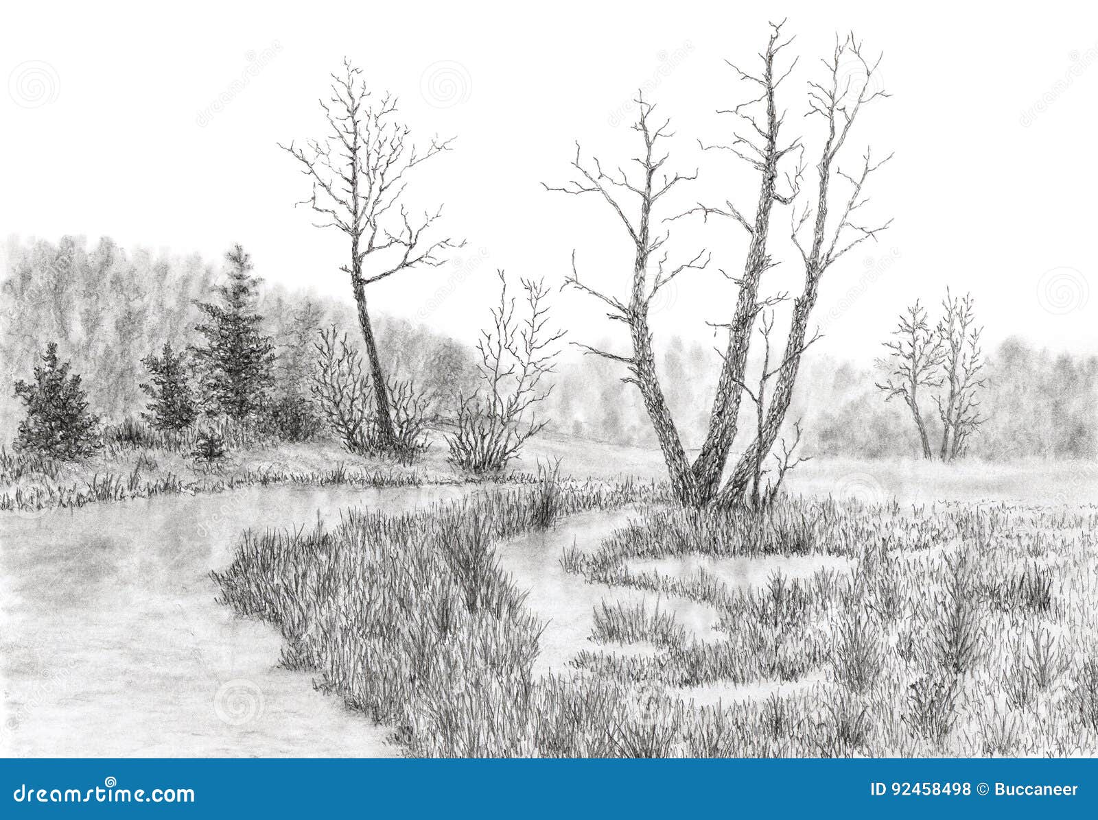 Grassy Swamp with Stream and Trees Stock Photo - Image of nature, draw ...
