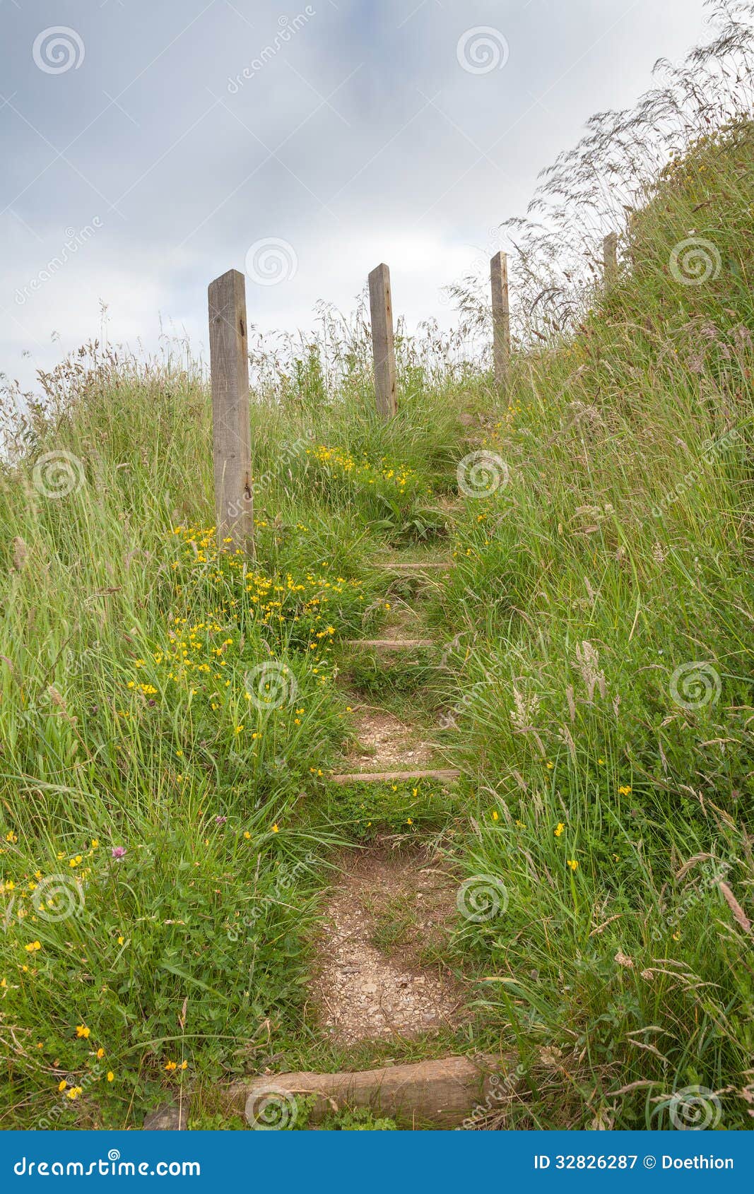 Grassy Track Leading Up Steps Stock Image - Image of grassy, pathway ...