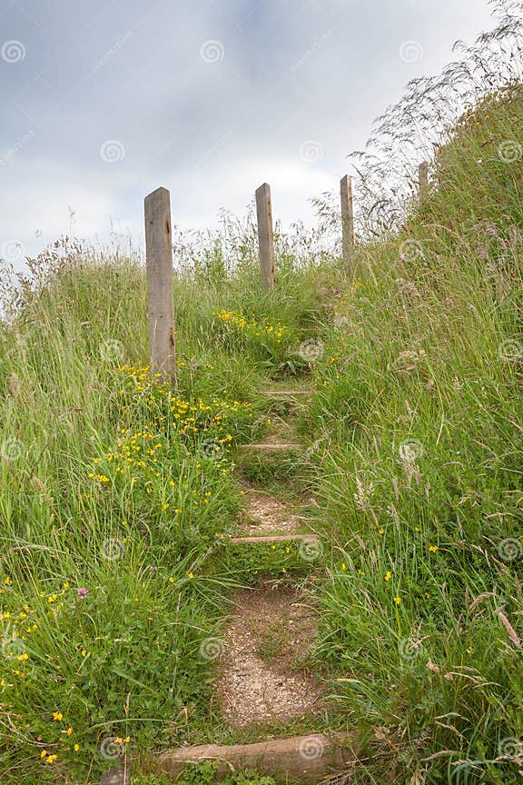 Grassy Track Leading Up Steps Stock Image - Image of grassy, pathway ...