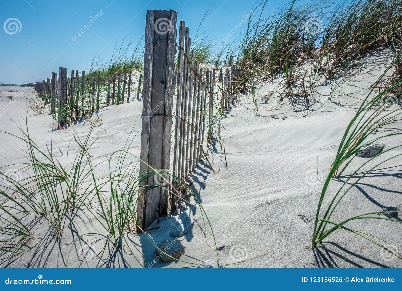 Grassy Windy Sand Dunes on the Beach Stock Photo - Image of deston ...