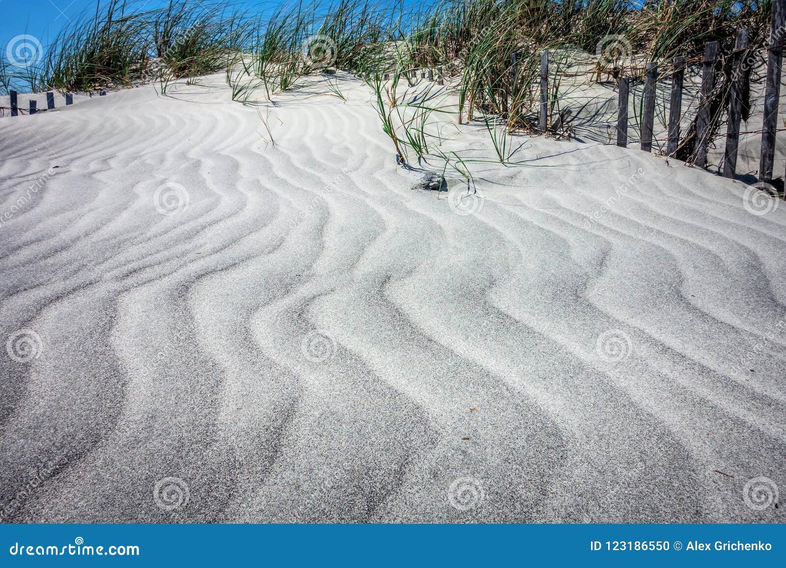 Grassy Windy Sand Dunes on the Beach Stock Photo - Image of grassy ...