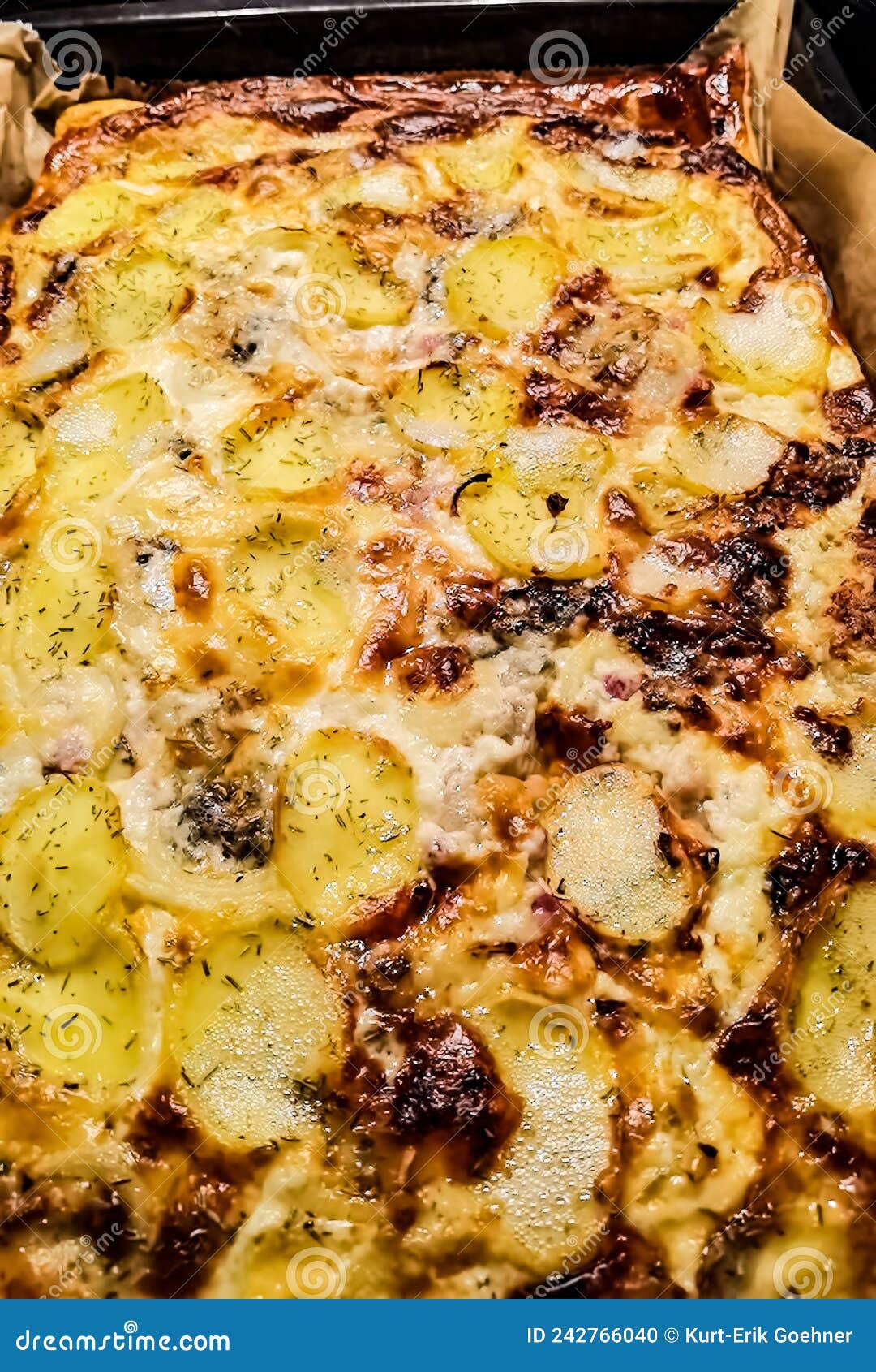 Gratinated potato gratin stock photo. Image of dish - 242766040