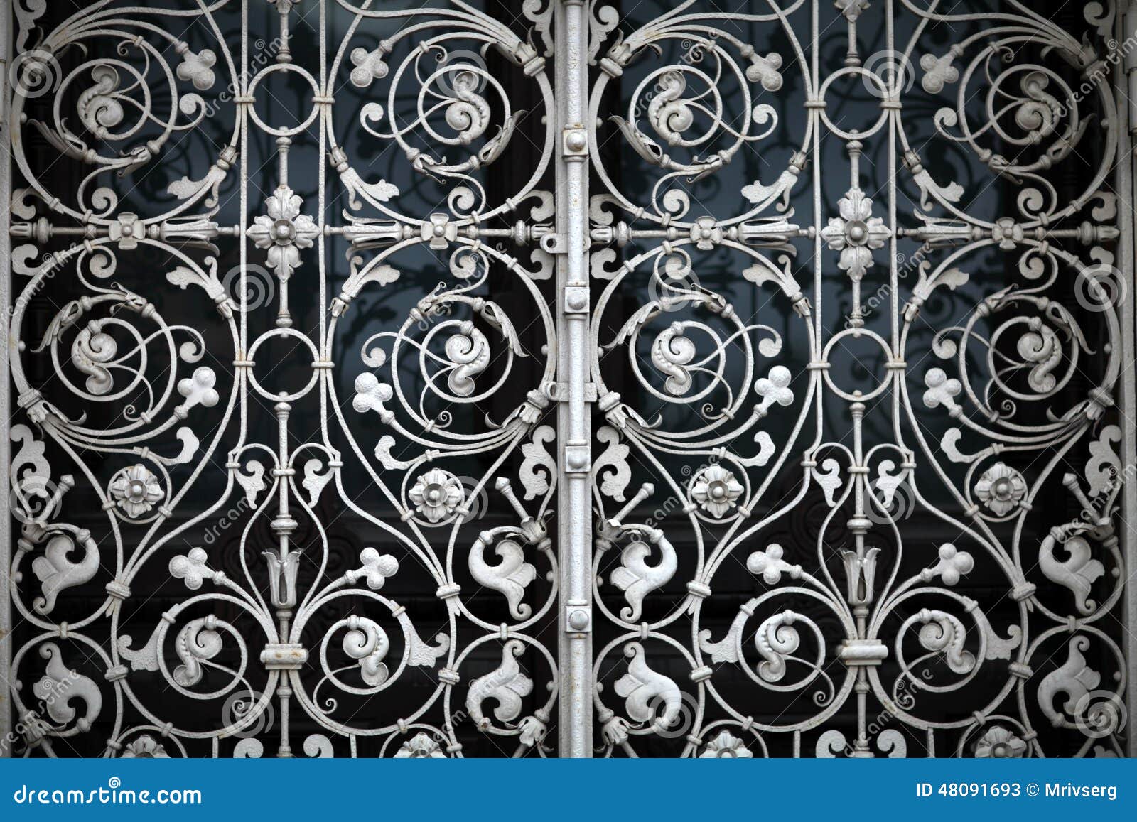 Grating With Floral Patterns Stock Image | CartoonDealer.com #48091693