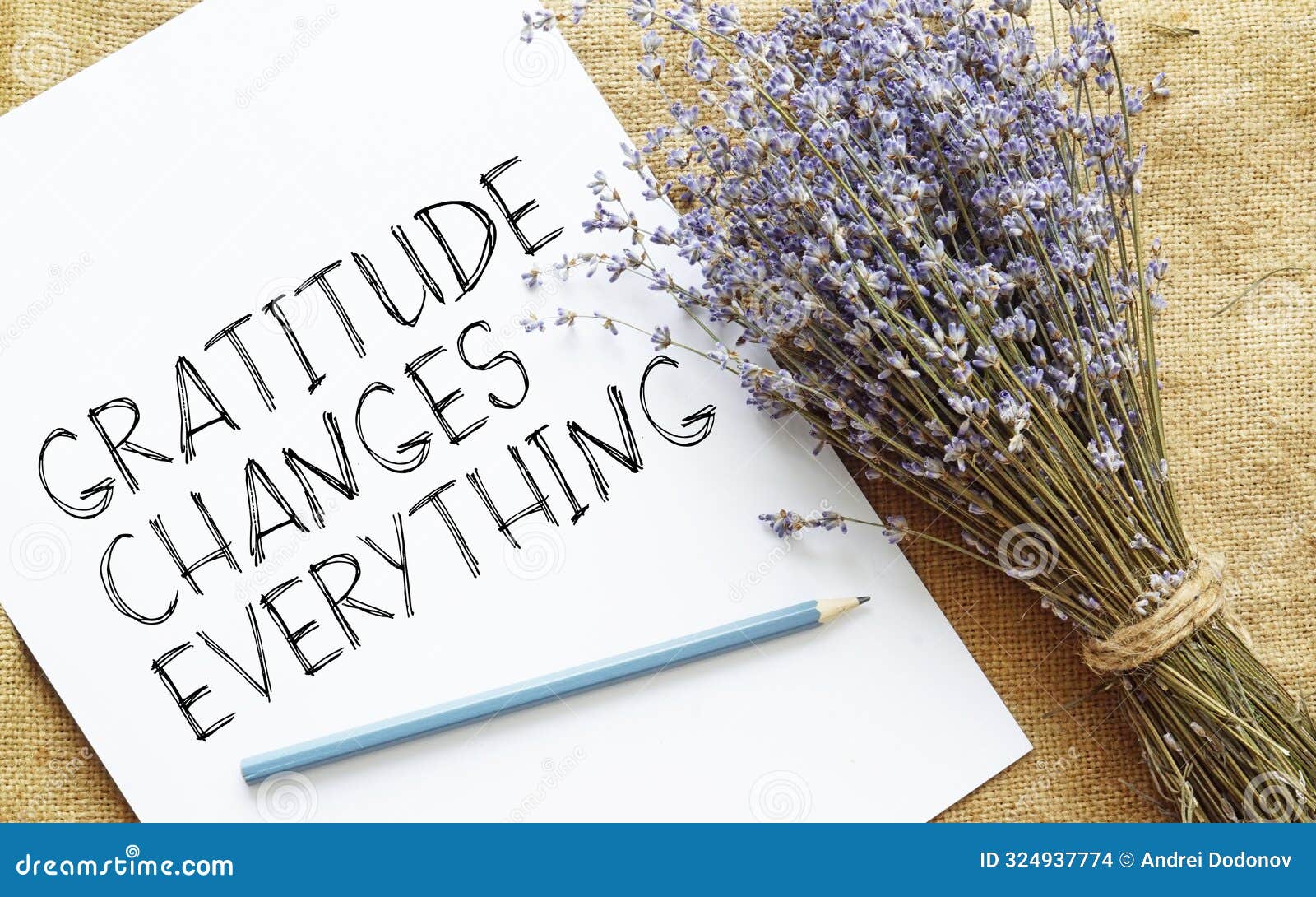 Gratitude Changes Everything is Shown Using the Text. Attitude is Everything Stock Photo - Image ...