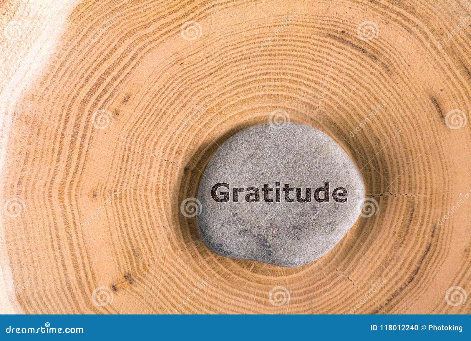 Gratitude in stone on tree stock photo. Image of life - 118012240
