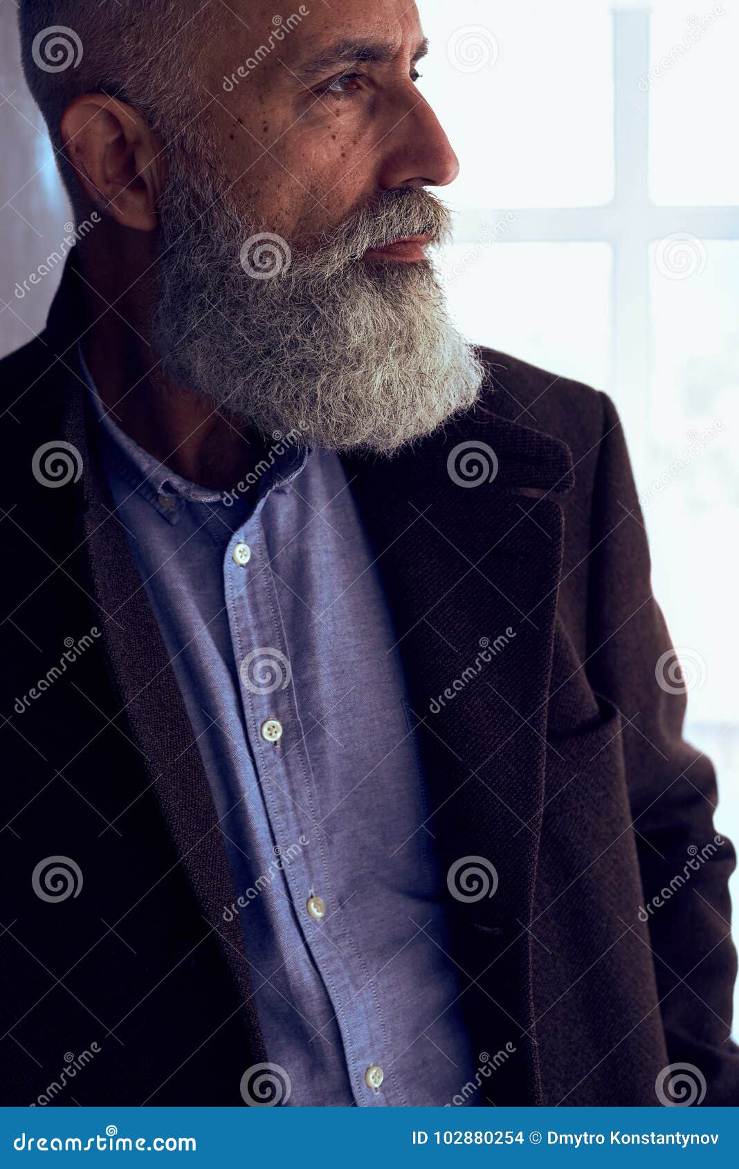 Grauer Buschiger Bart Des Reifen Mannes Stockfoto - Bild von attraktiv ...