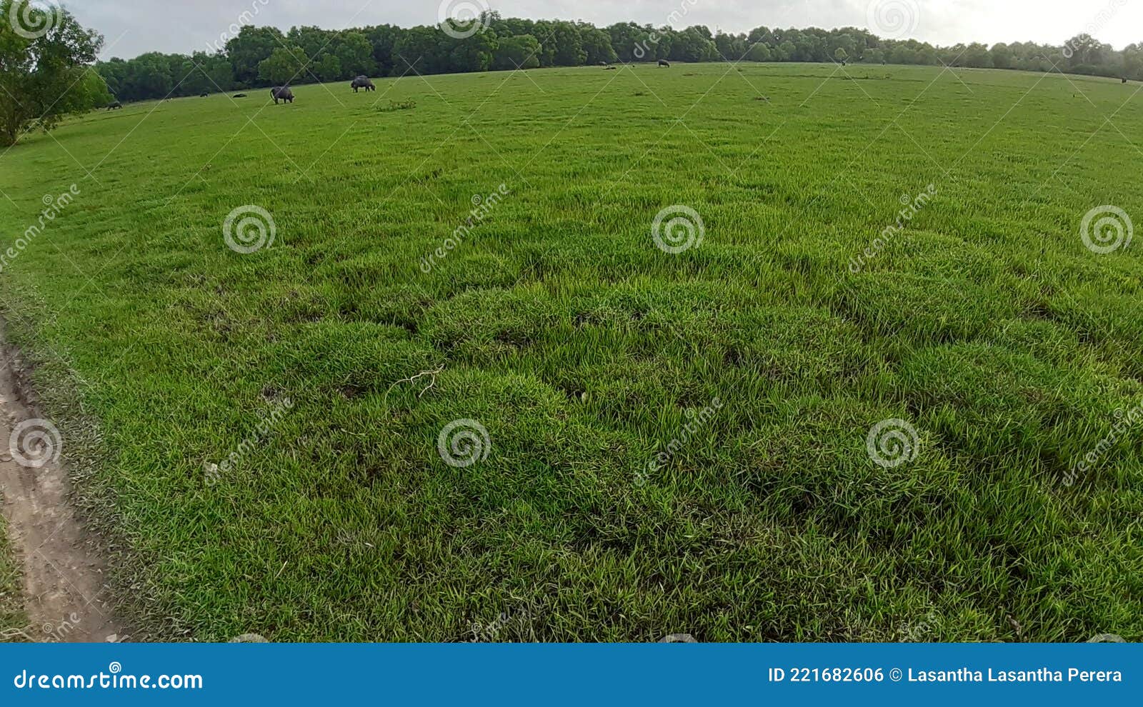 Graund land beautiful stock photo. Image of agriculture - 221682606