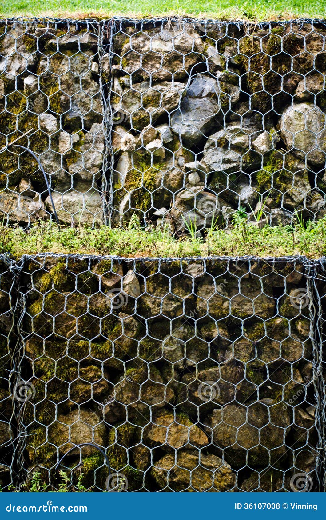 Ground stock photo. Image of plant, still, architecture - 36107008