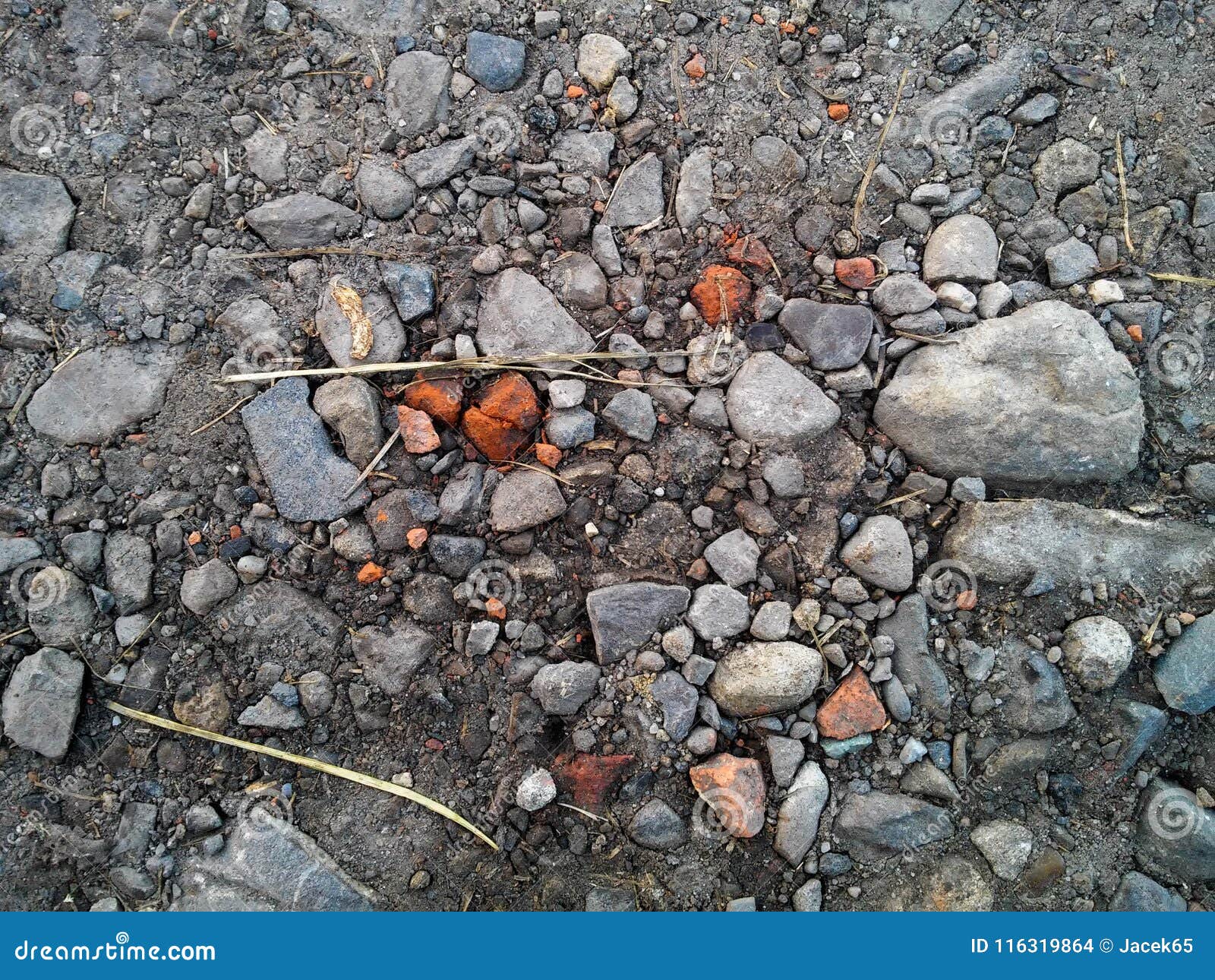 Grava foto de archivo. Imagen de grava, densamente, mojado - 116319864