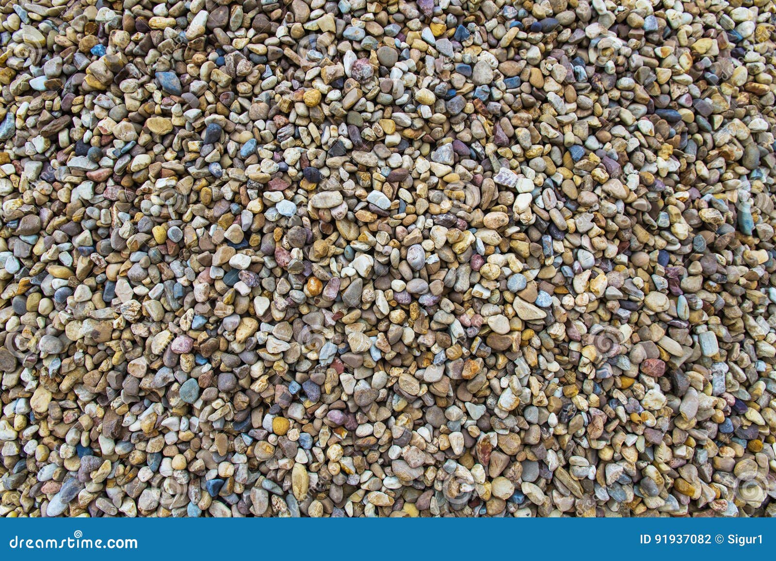 Grava del río foto de archivo. Imagen de travieso, modelo - 91937082