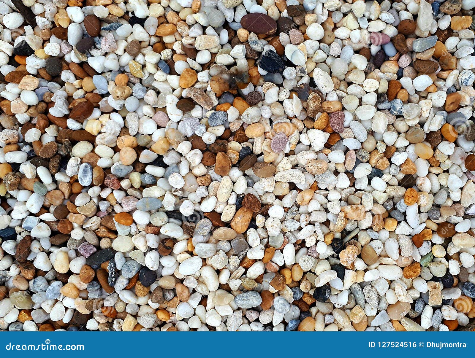 Gravas Stock Images - Download 555 Photos