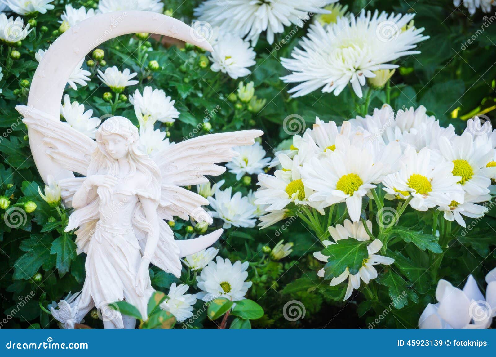 Grave Angels in Autumn Flowers Stock Image - Image of green, flowers ...